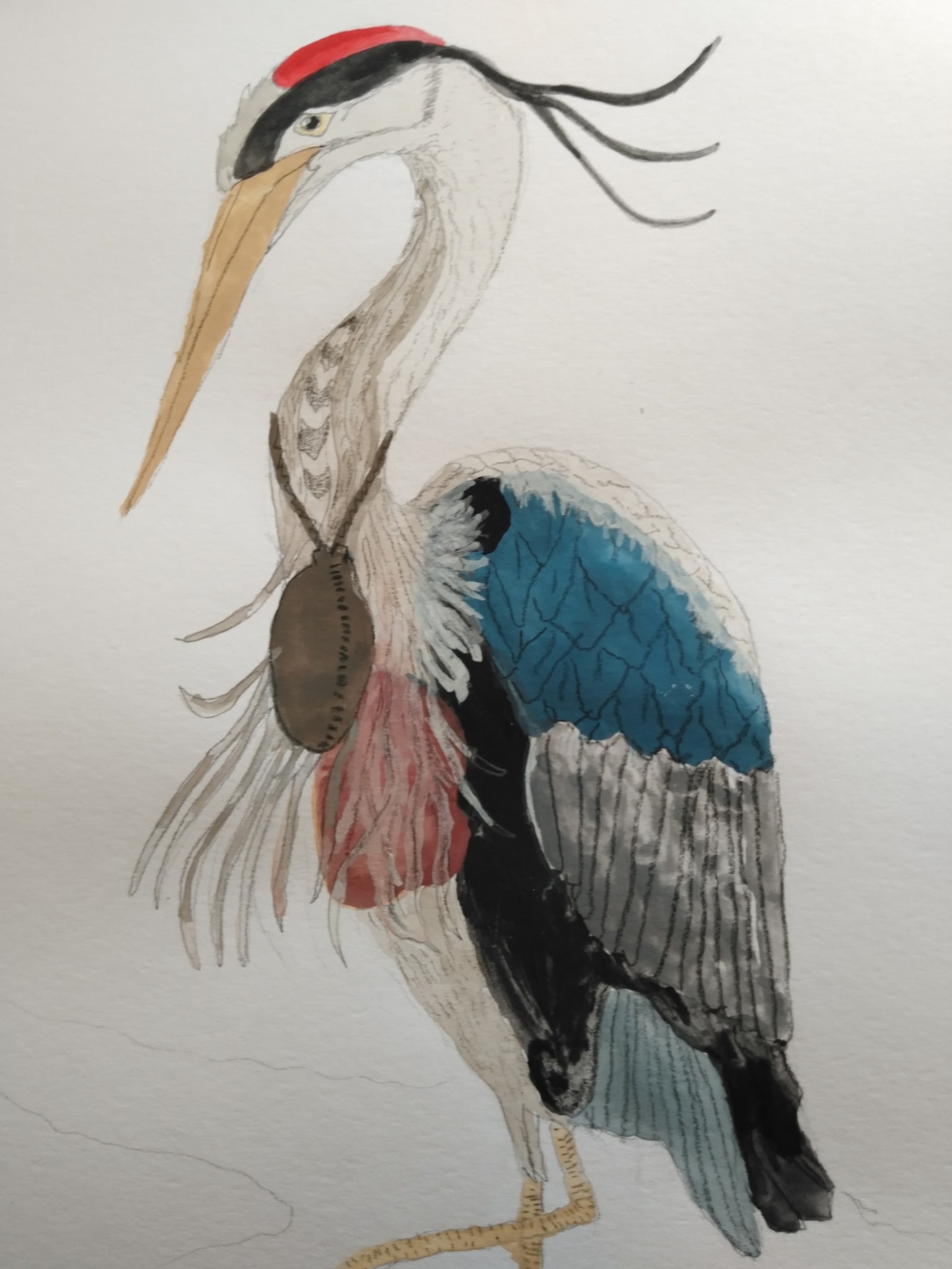 May Flower Moon: Etain, Willow and Crane – Earth Wisdom Earth Science