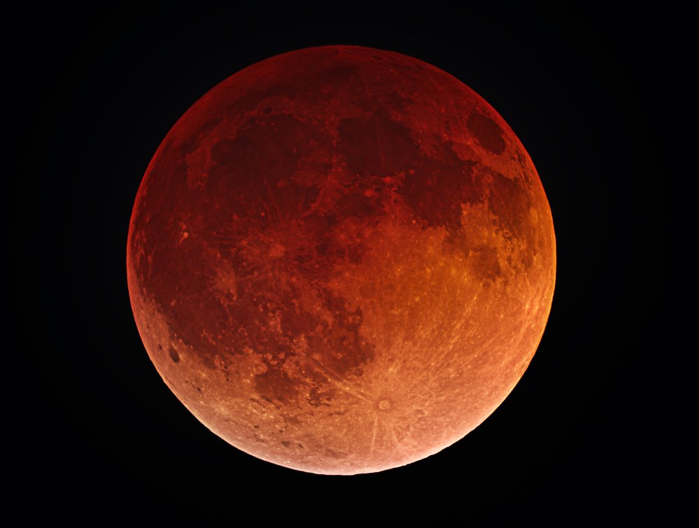 October Blood Moon: Pig, Ivy and the Curse of Macha – Earth Wisdom ...